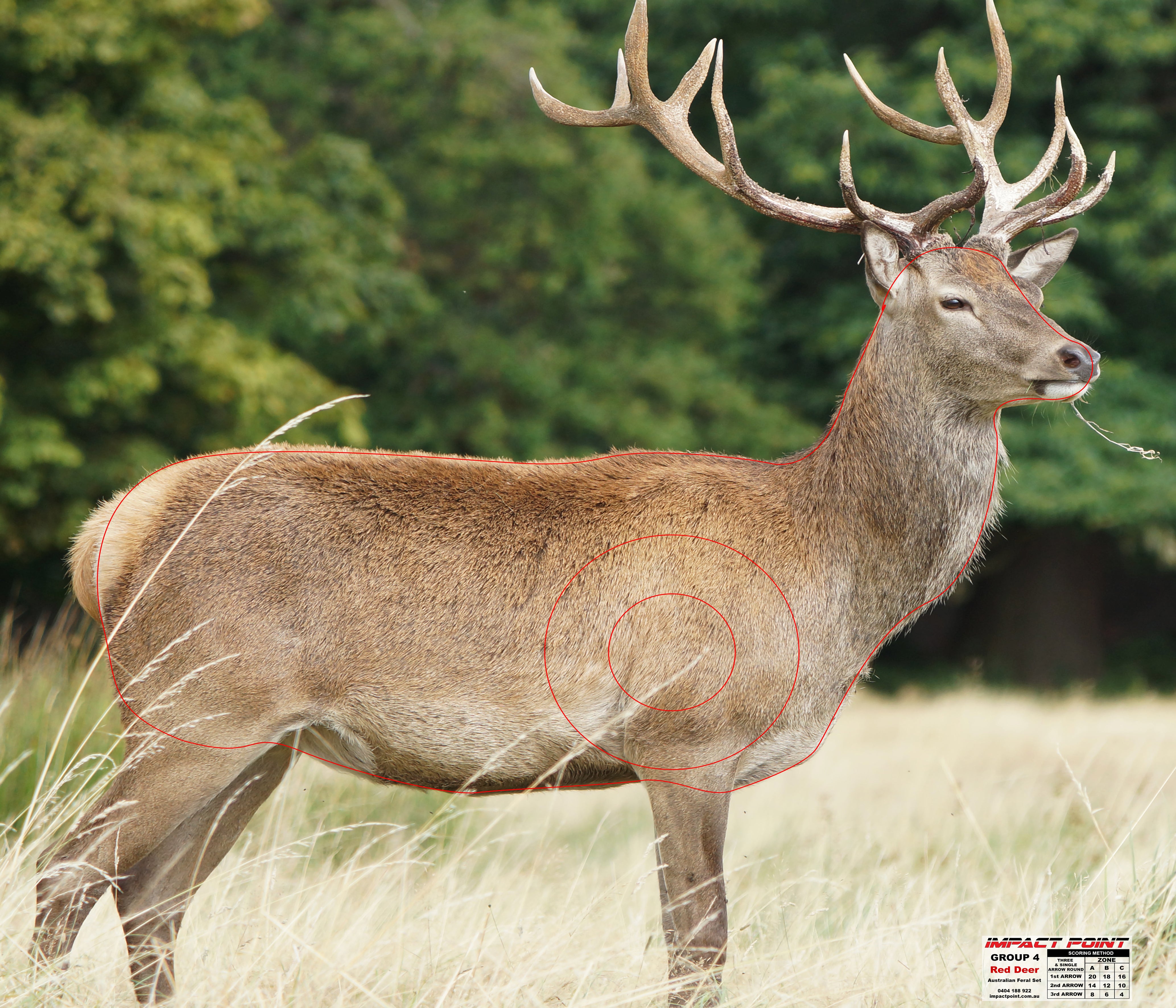 ABA Targets – Impact Point Archery