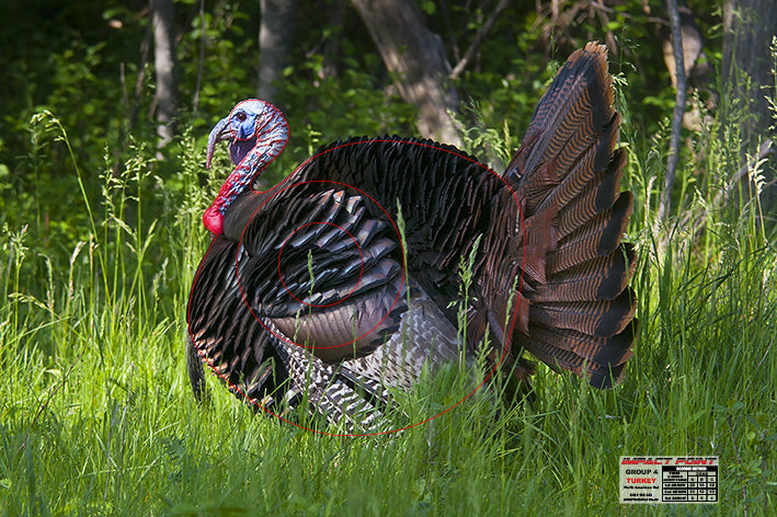 North American – Impact Point Archery