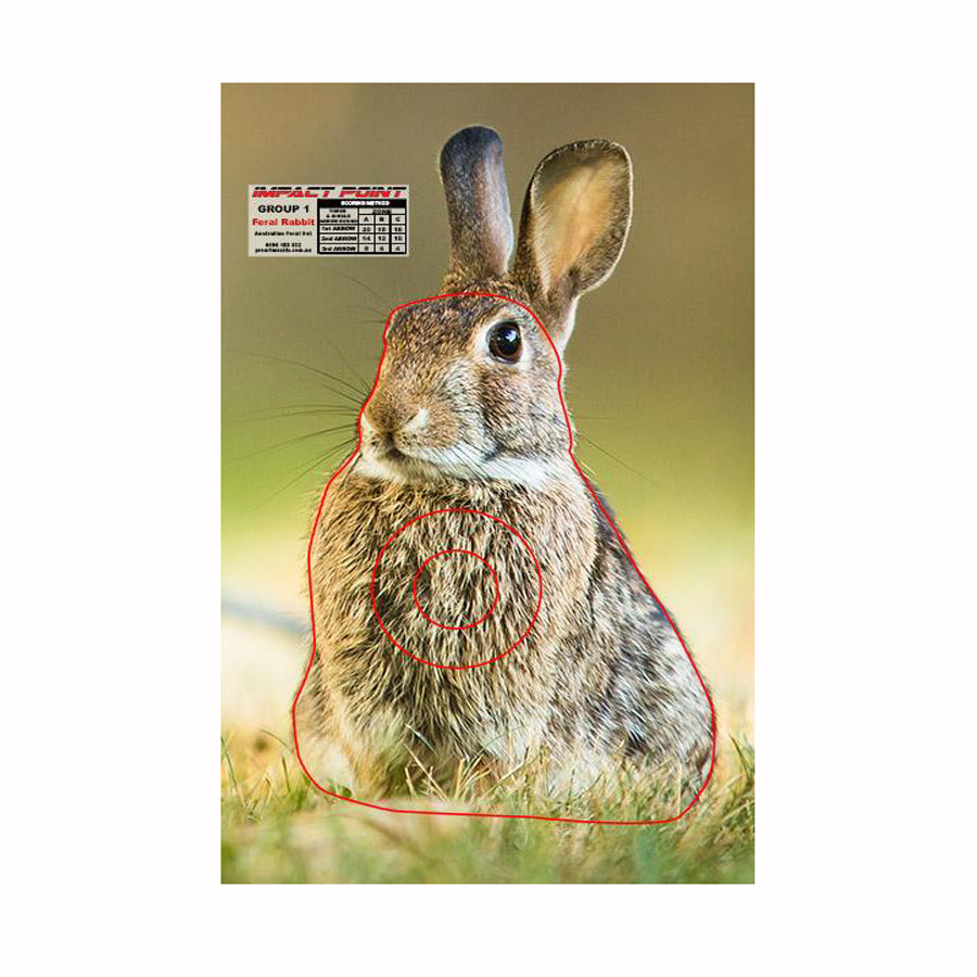 Group 1 Rabbit Target Face – Impact Point Archery