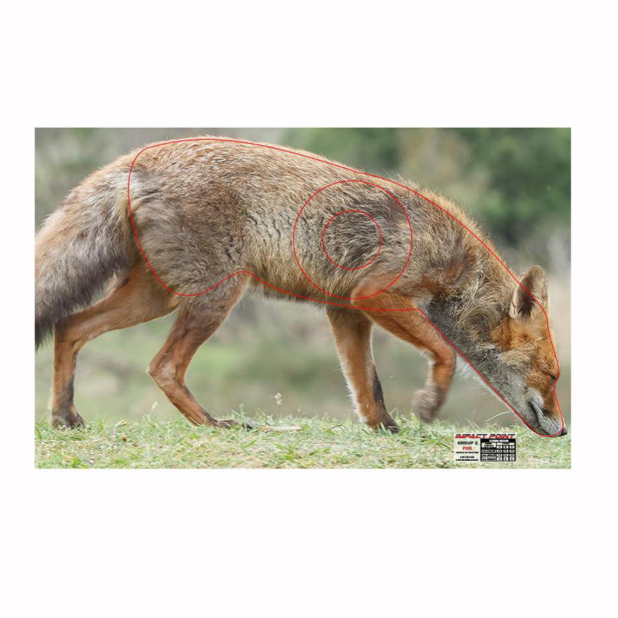 Group 2 Fox Target Face – Impact Point Archery