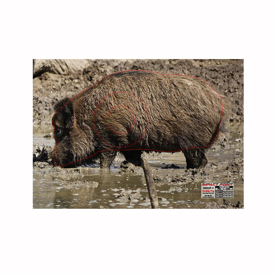 Group 4 Pig Target Face – Impact Point Archery