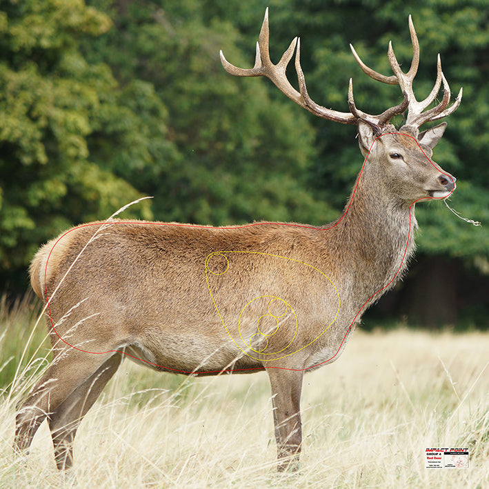 Group 4 Red Deer 1200x1200mm - Australian Feral Tournament Set – Impact ...