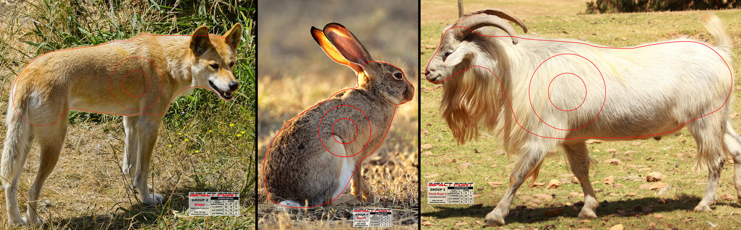 Special Offer FREE TARGETS – Impact Point Archery