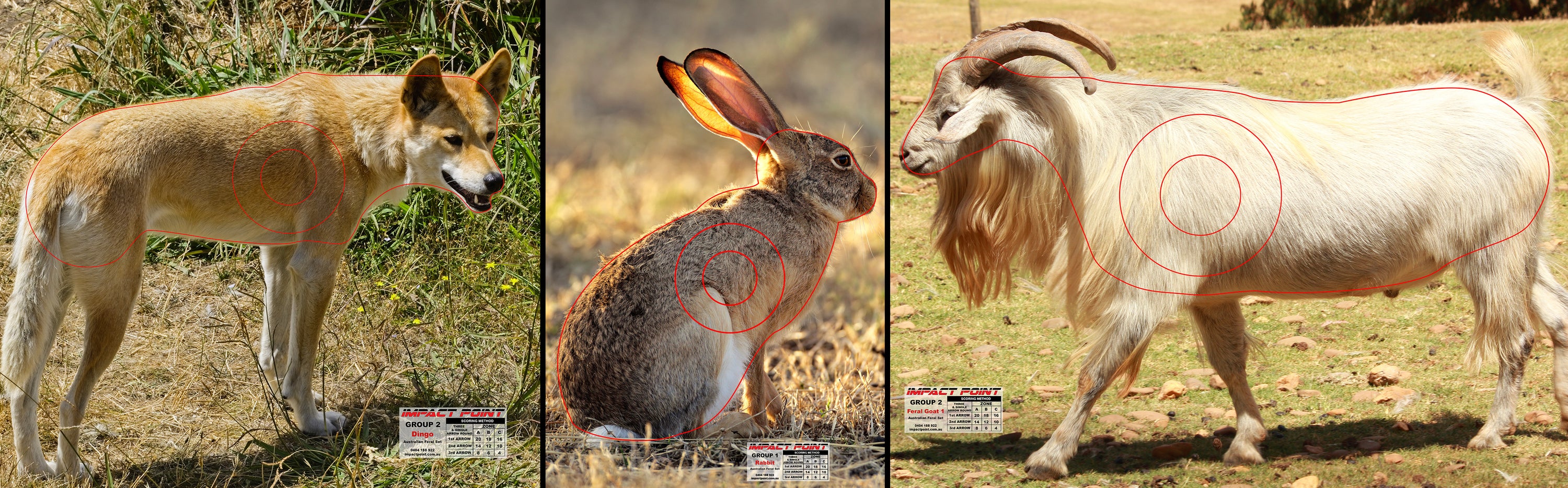 ABA Targets – Impact Point Archery