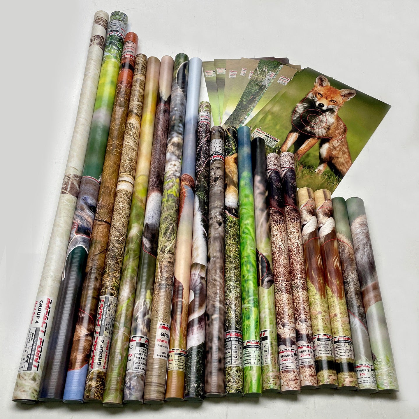 Premium Ready to Shoot – Impact Point Archery