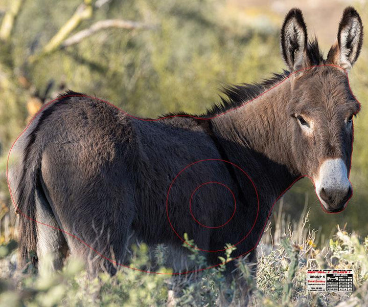 ABA Targets – Impact Point Archery